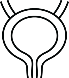 Bloom Women's Health